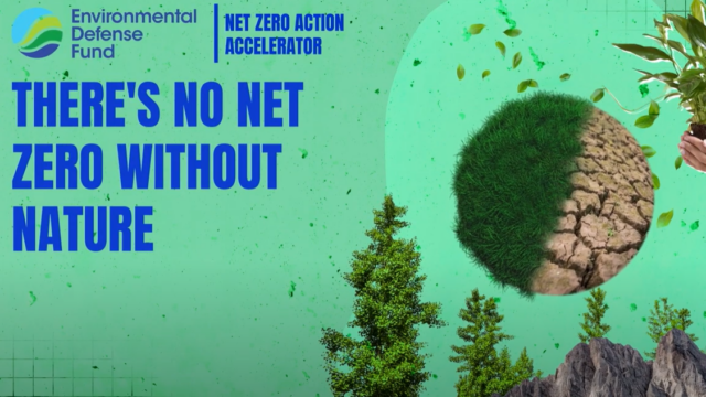 There’s No Net Zero Without Nature - Net Zero Action Accelerator