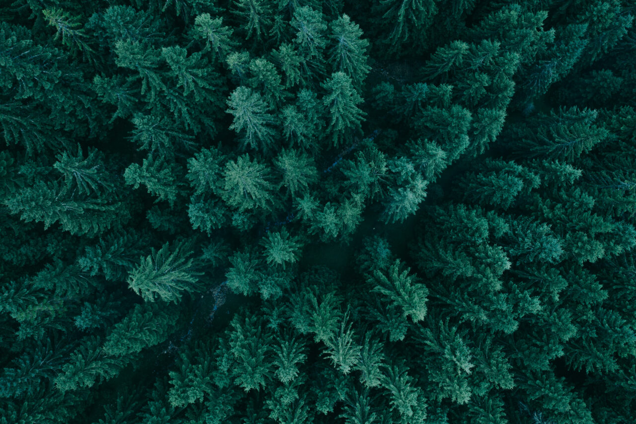 Science-Based Target Setting Manual - Net Zero Action Accelerator