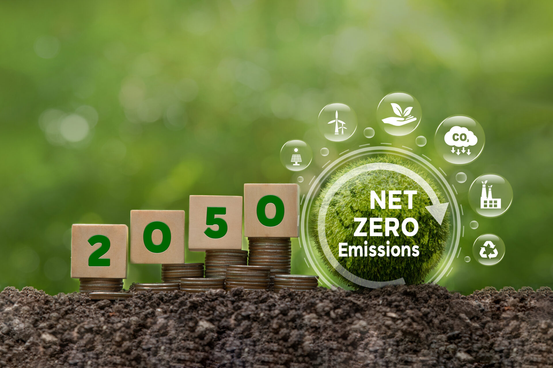The Building Blocks for Net Zero Transformation - Net Zero Action Accelerator