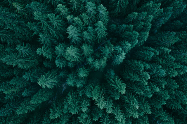 TCFD Good Practice Handbook - Net Zero Action Accelerator