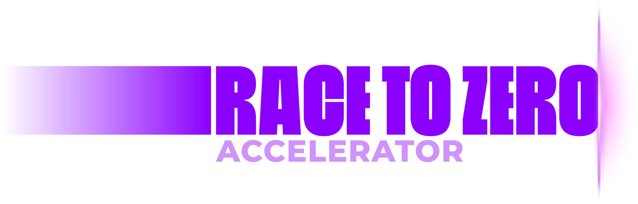 Home - Net Zero Action Accelerator