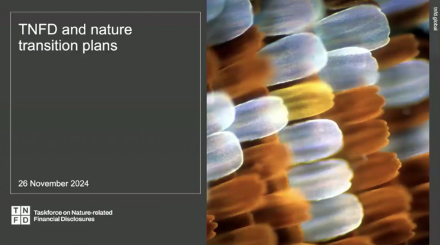 Understanding nature transition plans - Net Zero Action Accelerator