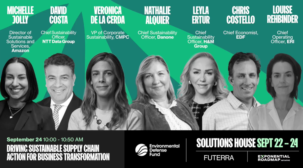 Driving Sustainable Supply Chain Action for Business Transformation ...